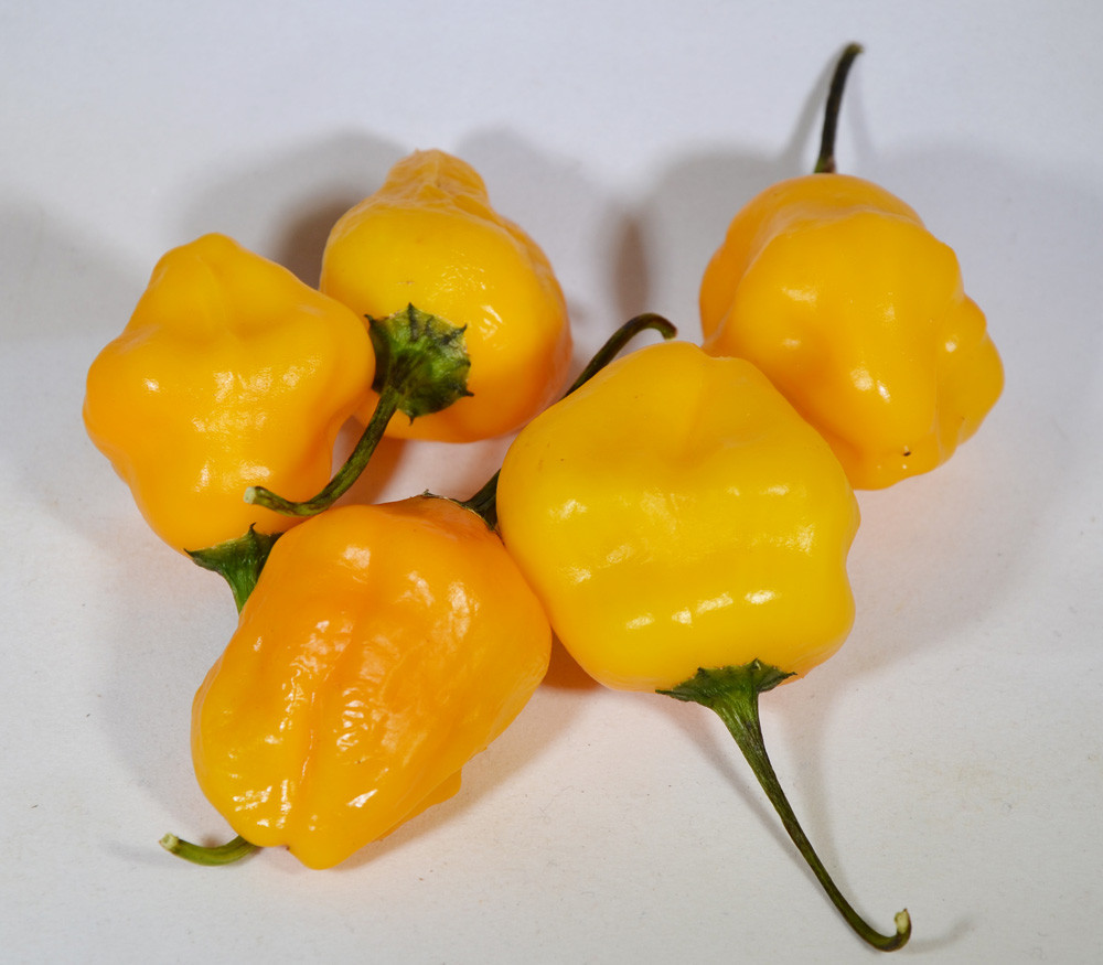 Berry Amarillo Pepper Seeds
