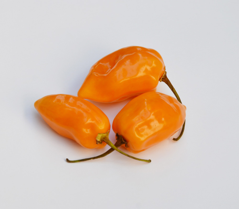 Trinidad Cherry Yellow Pepper Seeds