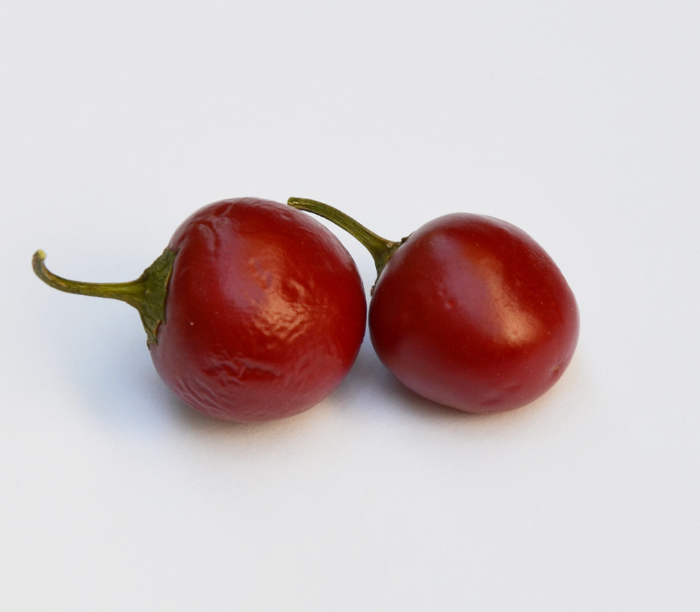 Mini Rocoto Pepper Seeds