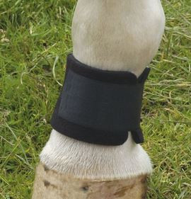 Pastern Band - Snaffle-it Horse Supplies