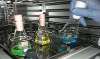 Cleaning Glassware with Ultrasonics - CleanoSonic
